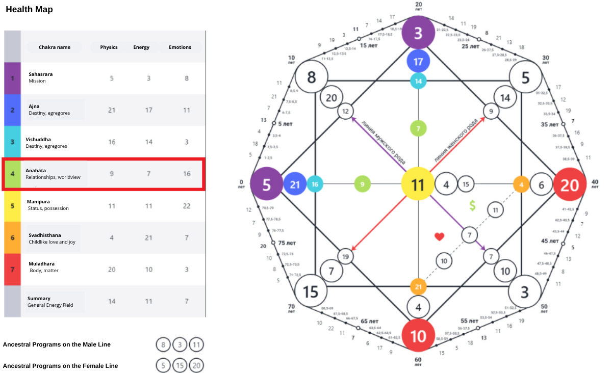 Health chart in the matrix of fate: What is it and how to decipher it ...